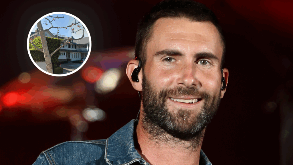 Adam Levine’s Former $51.5 Million Pacific Palisades Estate